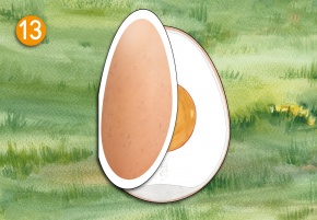 Project Plan: Chicken Lapbook for pre-K, kindergarten and elementary school