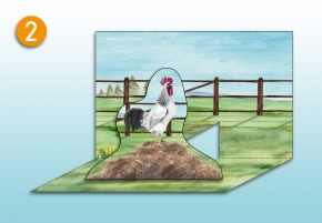 Project Plan: Chicken Lapbook for pre-K, kindergarten and elementary school